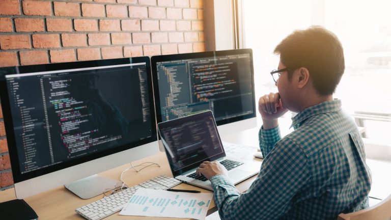 Desarrollador Full Stack - Tecnología bi